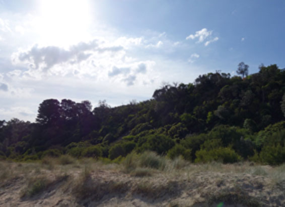 Merricks Beach – Indigenous Guided Walk with Lionel Lauch from Living ...